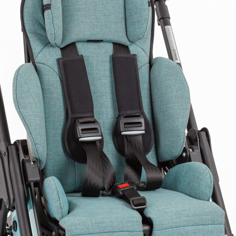 Hoggi Bingo Evolution 5-Point Harness - Adaptative Imports